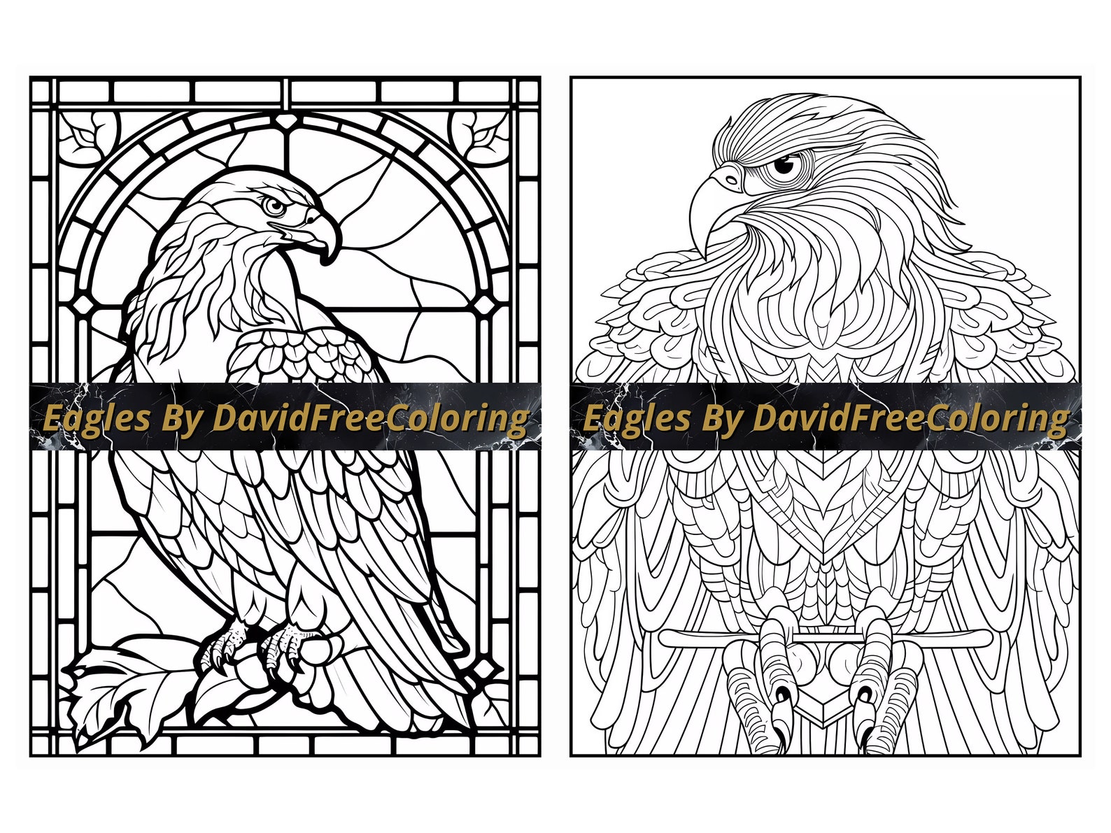 40 Eagles Coloring Book Eagles Coloring Image for Adult Coloring Pages ...