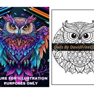 80 Owls Coloring Book Cute Owls Images for Adult Coloring Pages ...