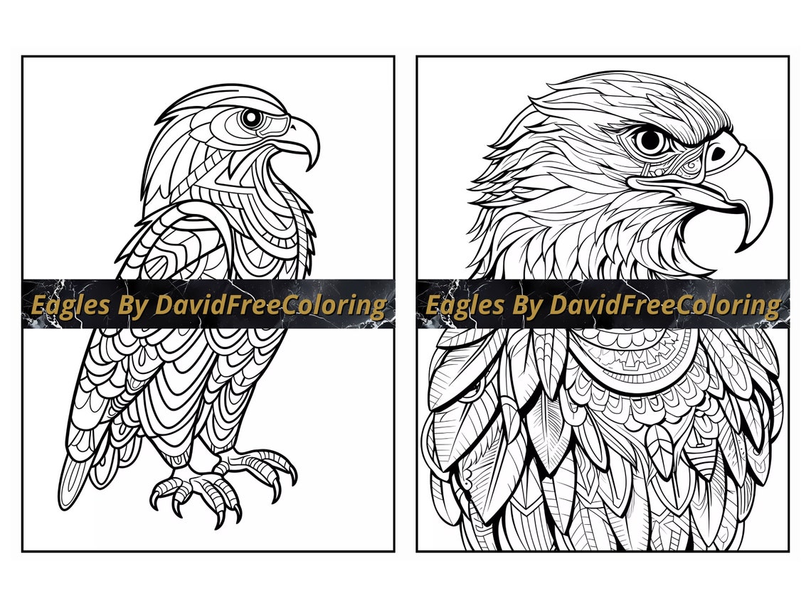 40 Eagles Coloring Book Eagles Coloring Image for Adult Coloring Pages ...