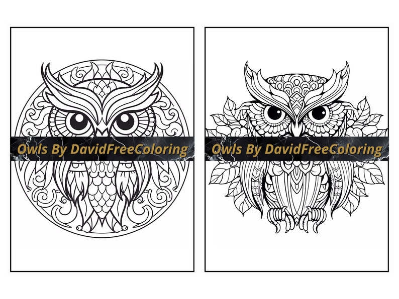 80 Owls Coloring Book Cute Owls Images for Adult Coloring Pages ...
