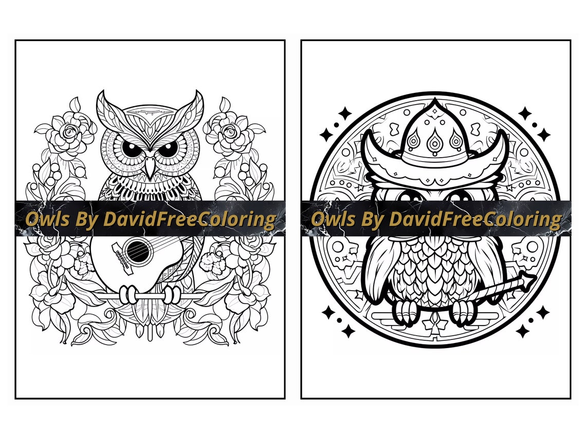 80 Owls Coloring Book Cute Owls Images for Adult Coloring Pages ...