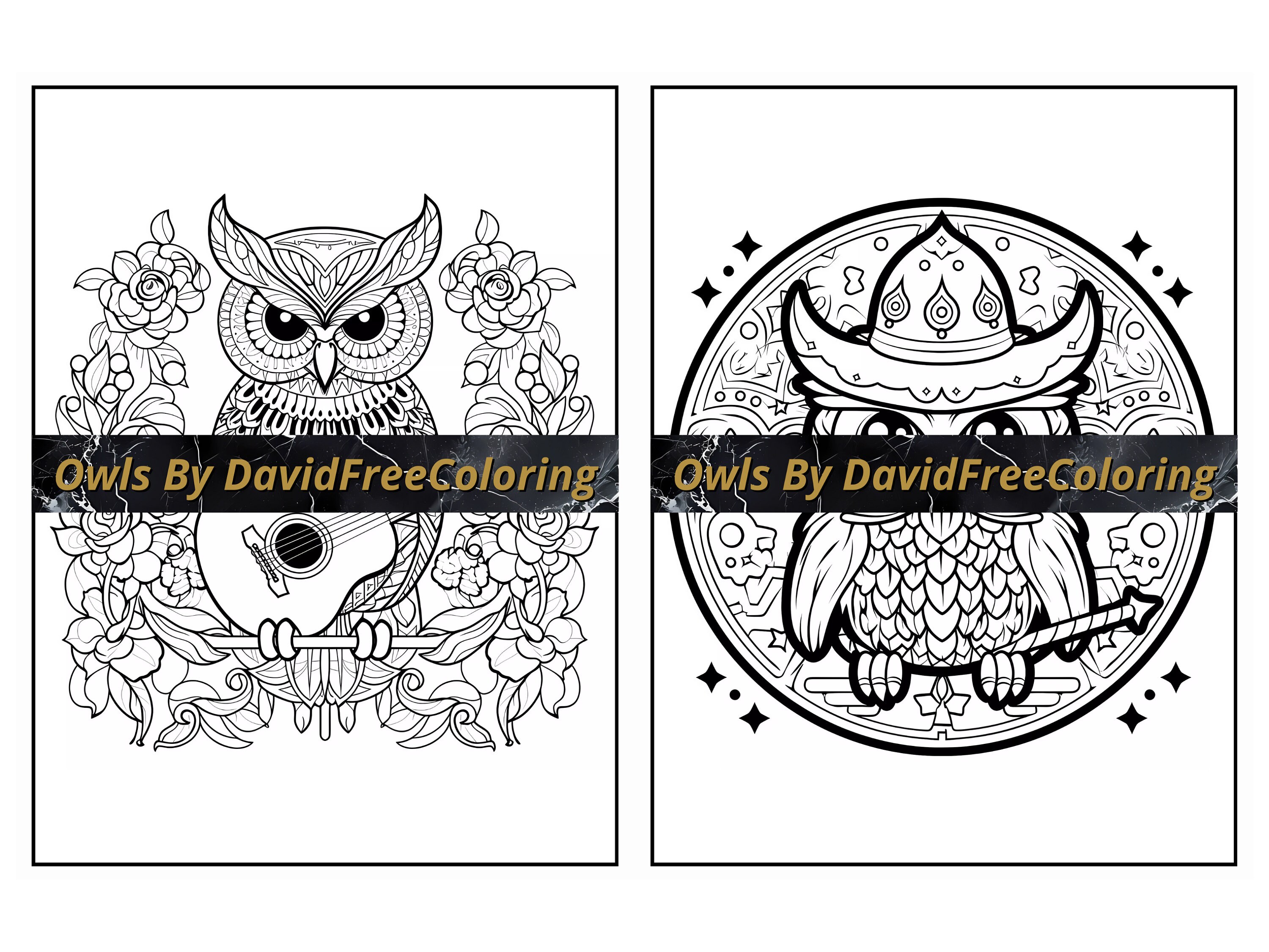 80 Owls Coloring Book Cute Owls Images for Adult Coloring Pages ...