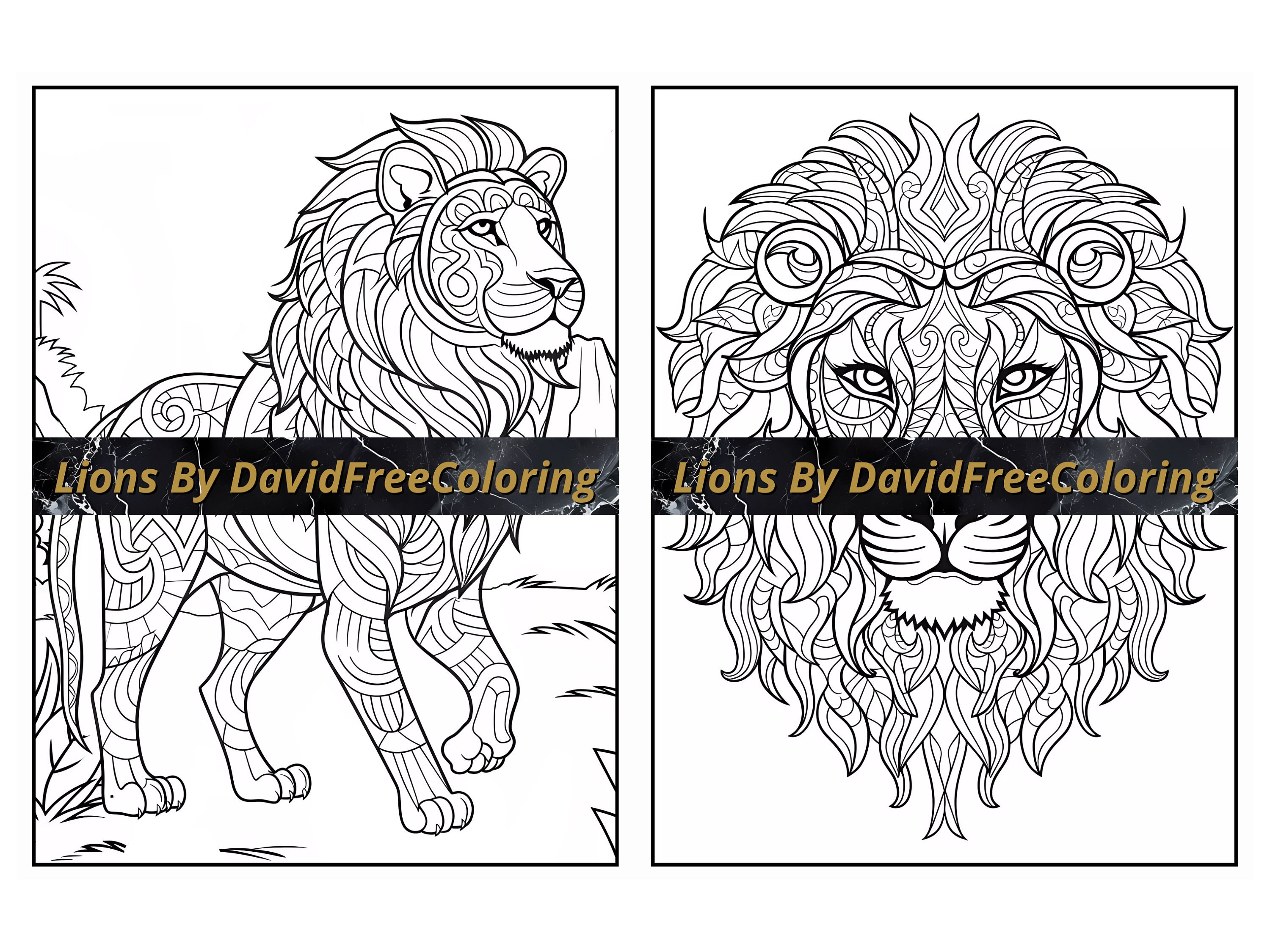 50 Lions Coloring Book Lions Coloring Images for Adult Coloring Pages ...