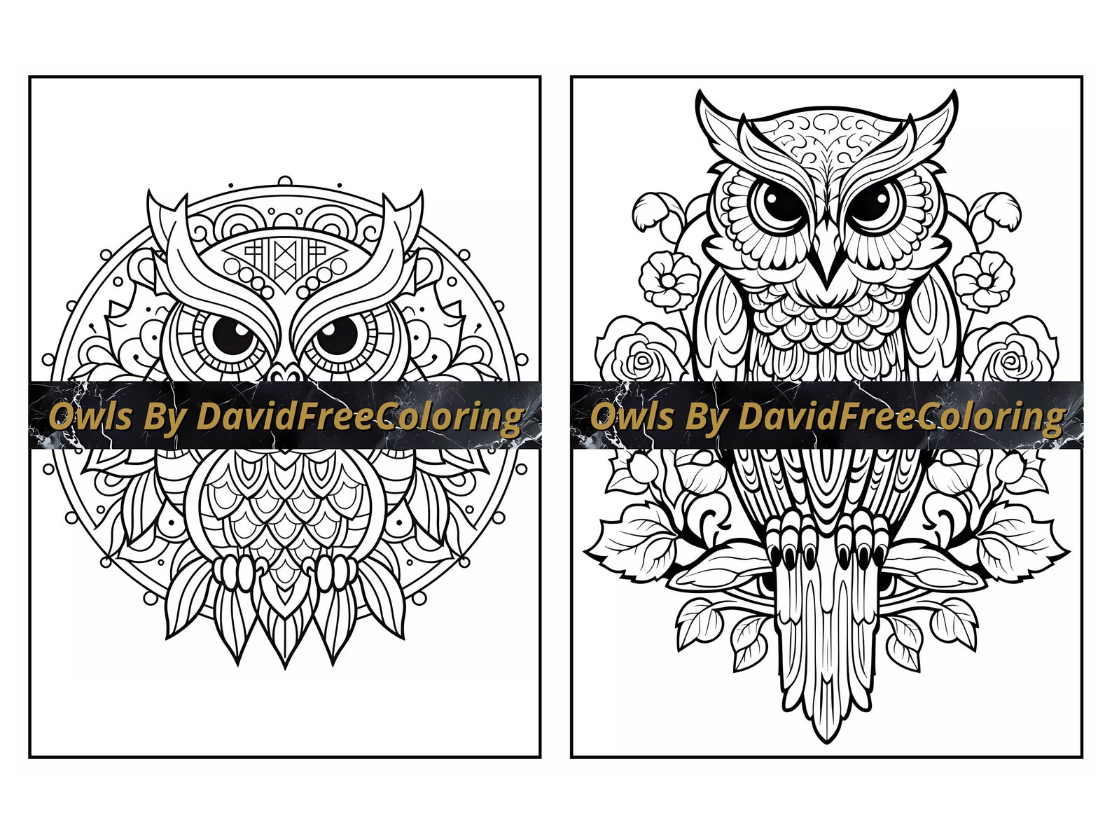 80 Owls Coloring Book Cute Owls Images for Adult Coloring Pages ...