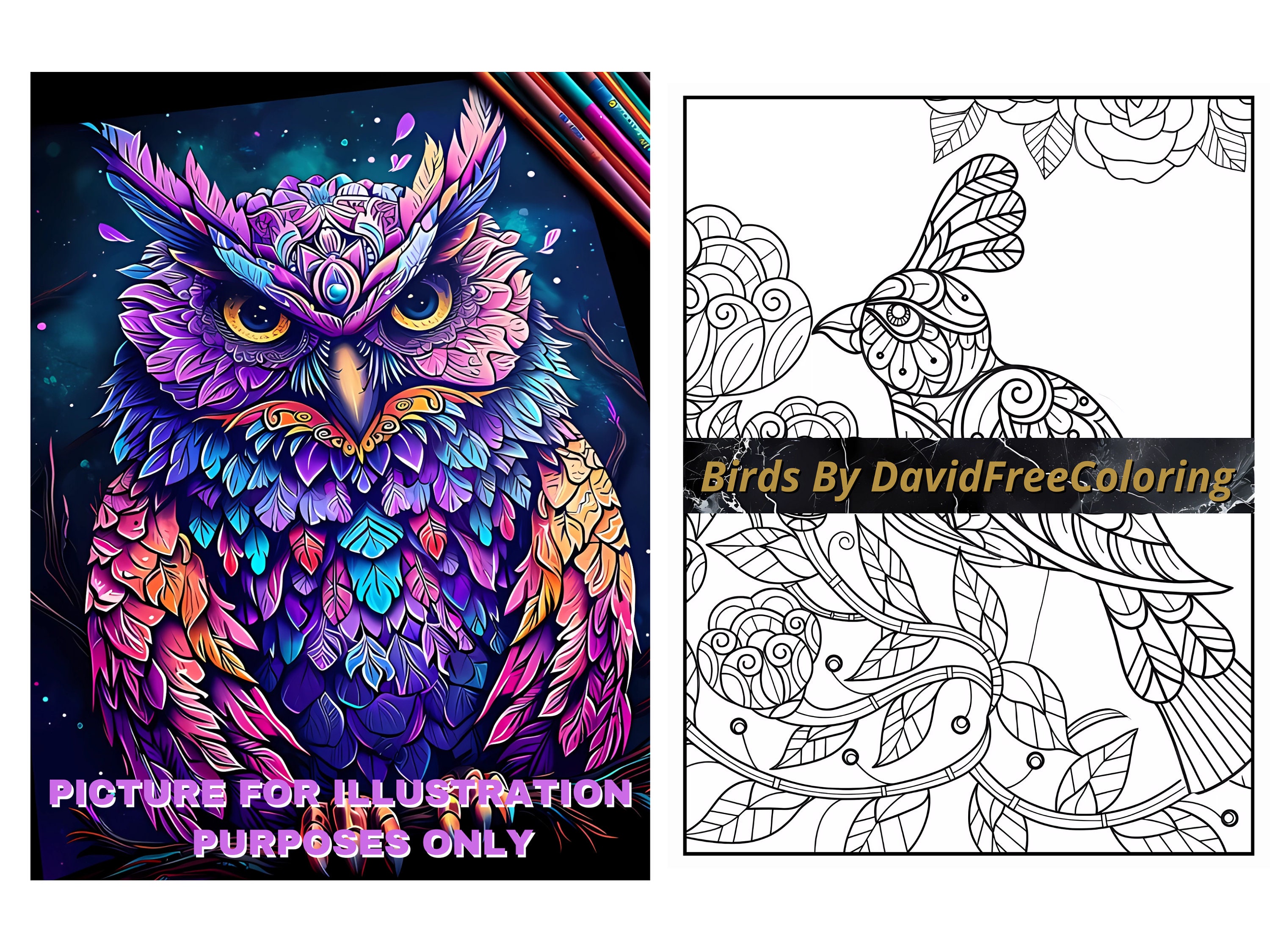 40 Birds Coloring Book Birds Coloring Images for Adult Coloring Pages ...