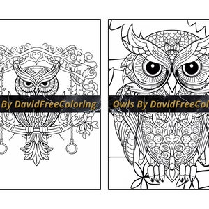 80 Owls Coloring Book Cute Owls Images for Adult Coloring Pages ...