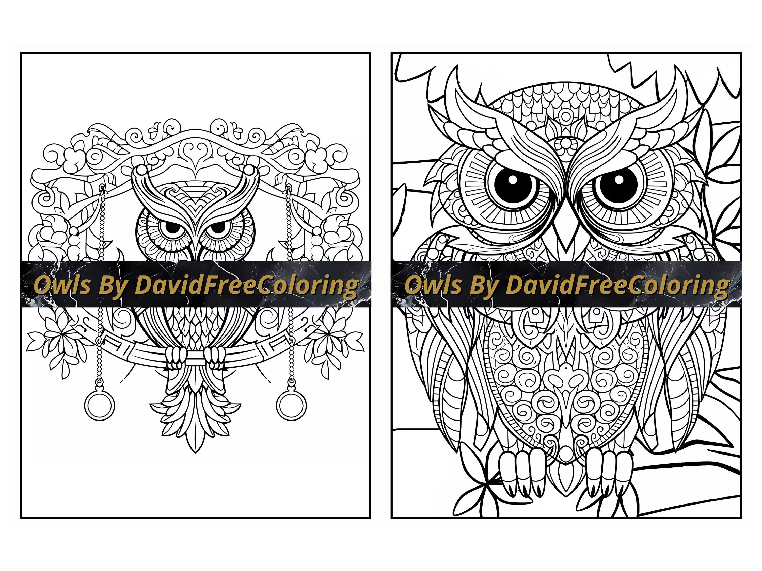 80 Owls Coloring Book Cute Owls Images for Adult Coloring Pages ...