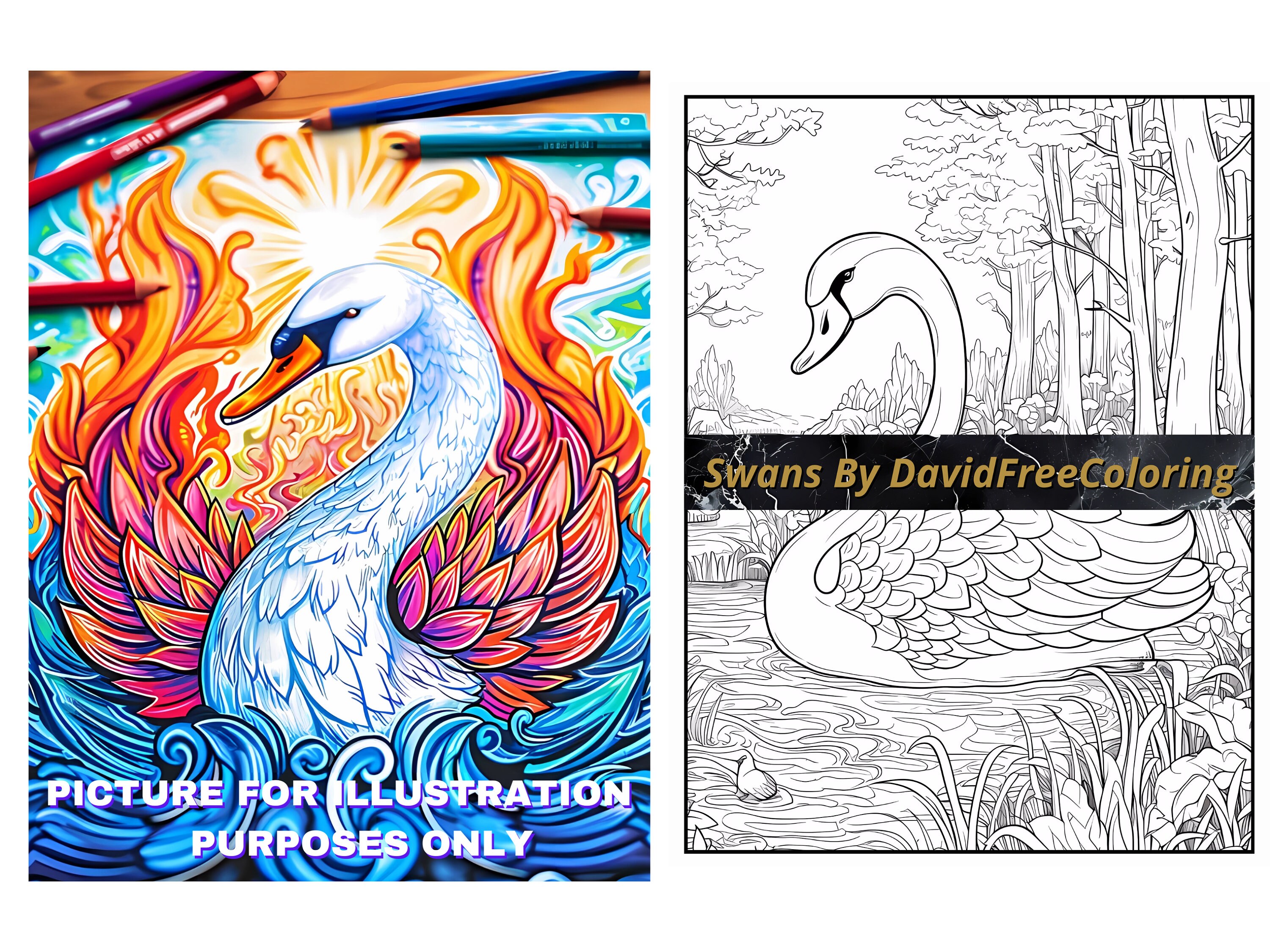 40 Swans Coloring Book Swans Coloring Image for Adult Coloring Pages ...