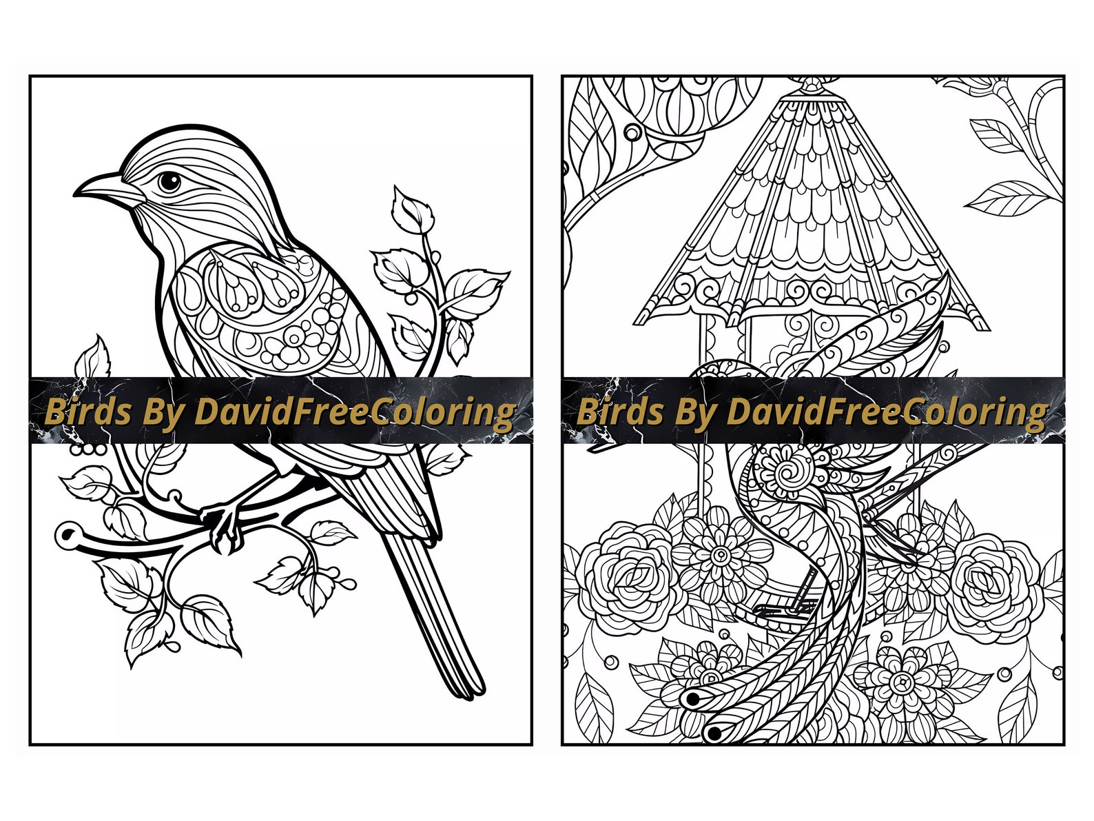 40 Birds Coloring Book Birds Coloring Images for Adult Coloring Pages ...