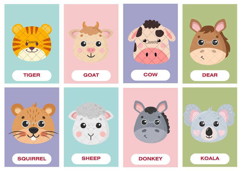 A Complete Set of Flash Card - Etsy