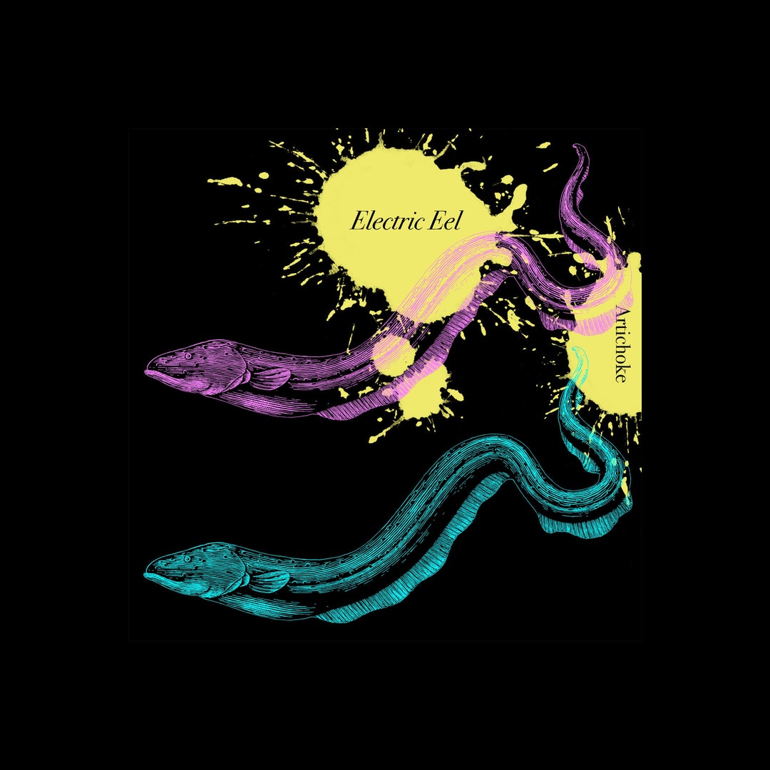 Electric Eel Tee Shirt - Etsy