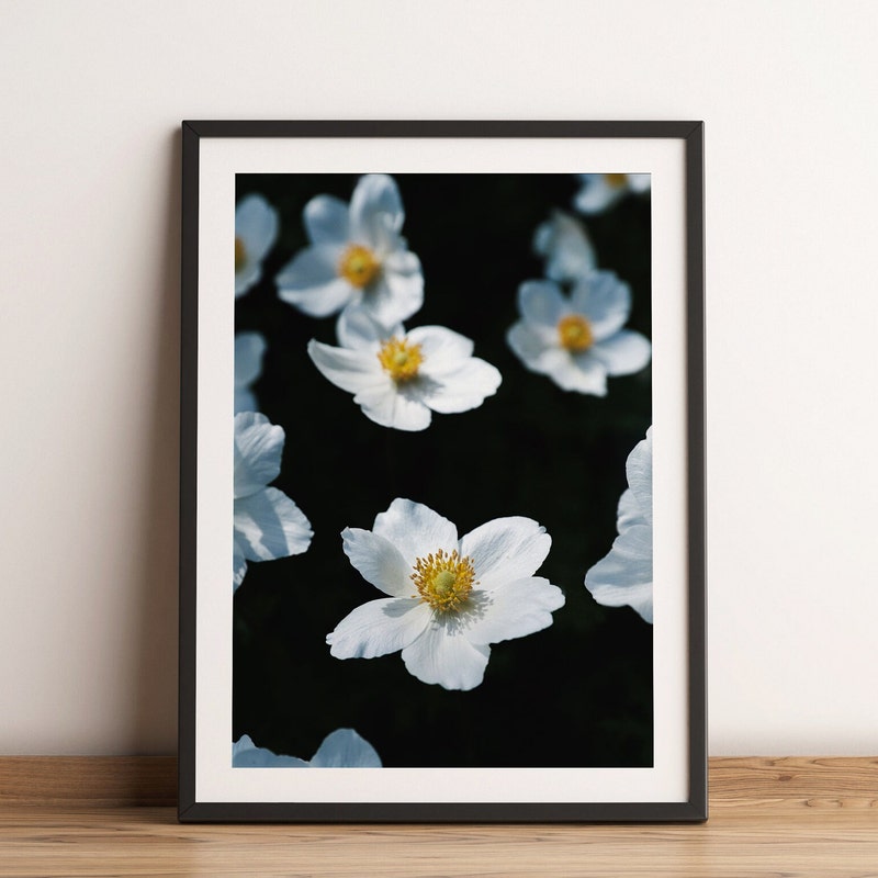 Flower Photography - Etsy