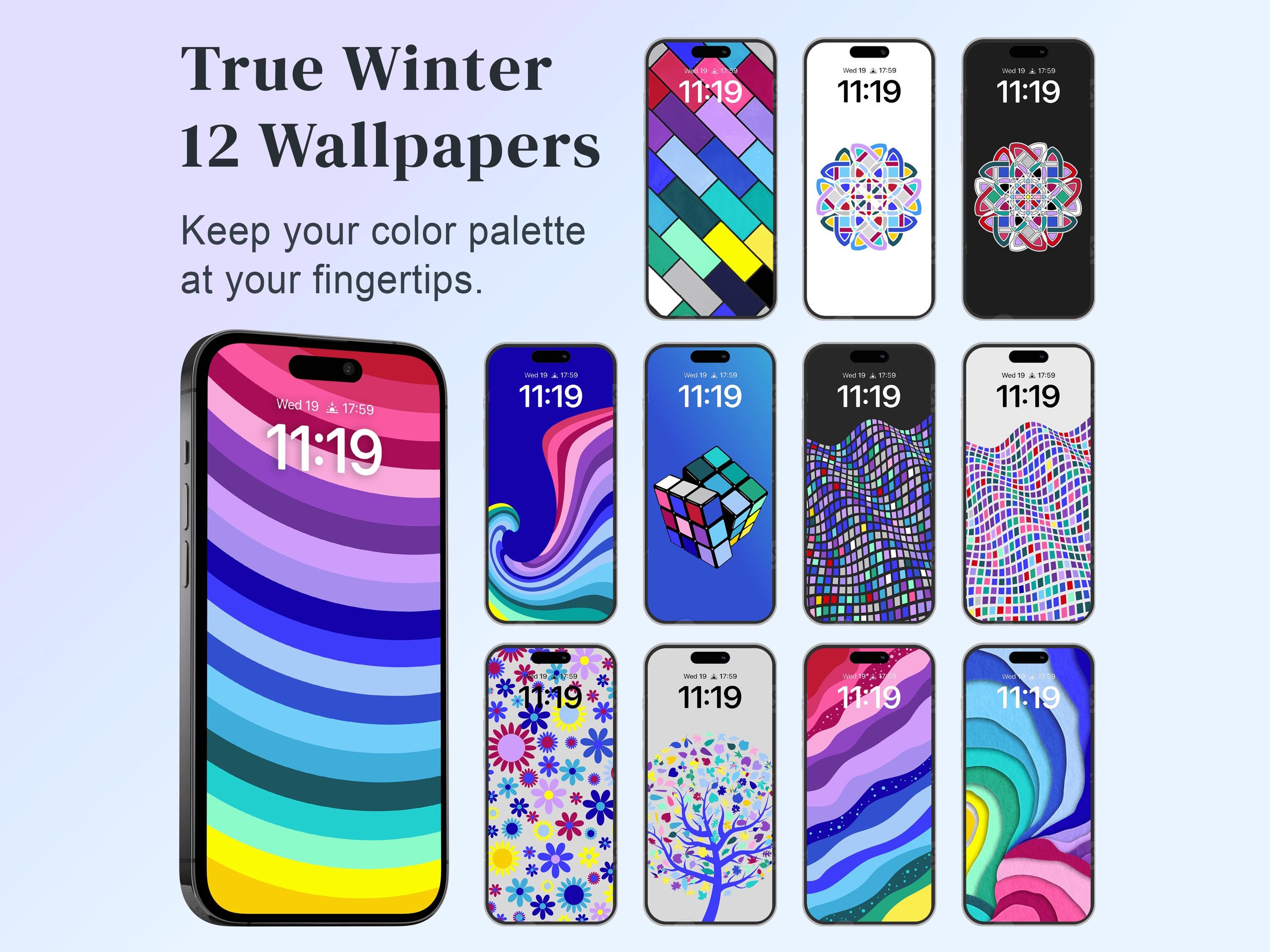 True Winter Seasonal Color Palette Wallpapers | Cool Winter Color ...