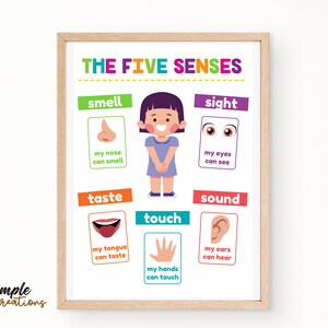 Science Educational Posters Homeschool Teaching Chart Colorful Rainbow ...