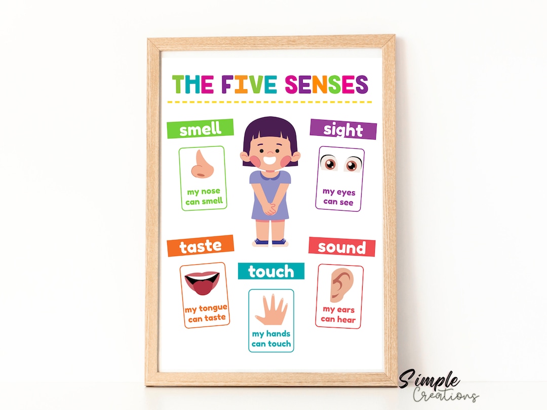 Five Senses Educational Poster: Montessori Homeschool Decor (digital ...