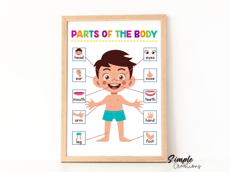 Parts of the Body Boy Science Educational Posters, Wall Decor ...