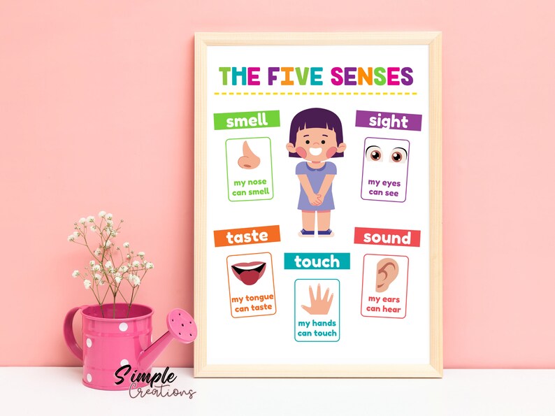 Five Senses Educational Poster: Montessori Homeschool Decor (digital ...