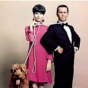 Get Smart DON ADAMS BARBARA Feldon and Fang the D0G Photo Magnet 3"x5 ...