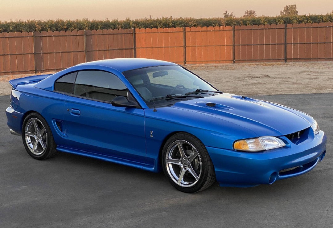 MUSTANG COBRA SVT Coupe 1998 Photo Magnet 3"x5" - Etsy