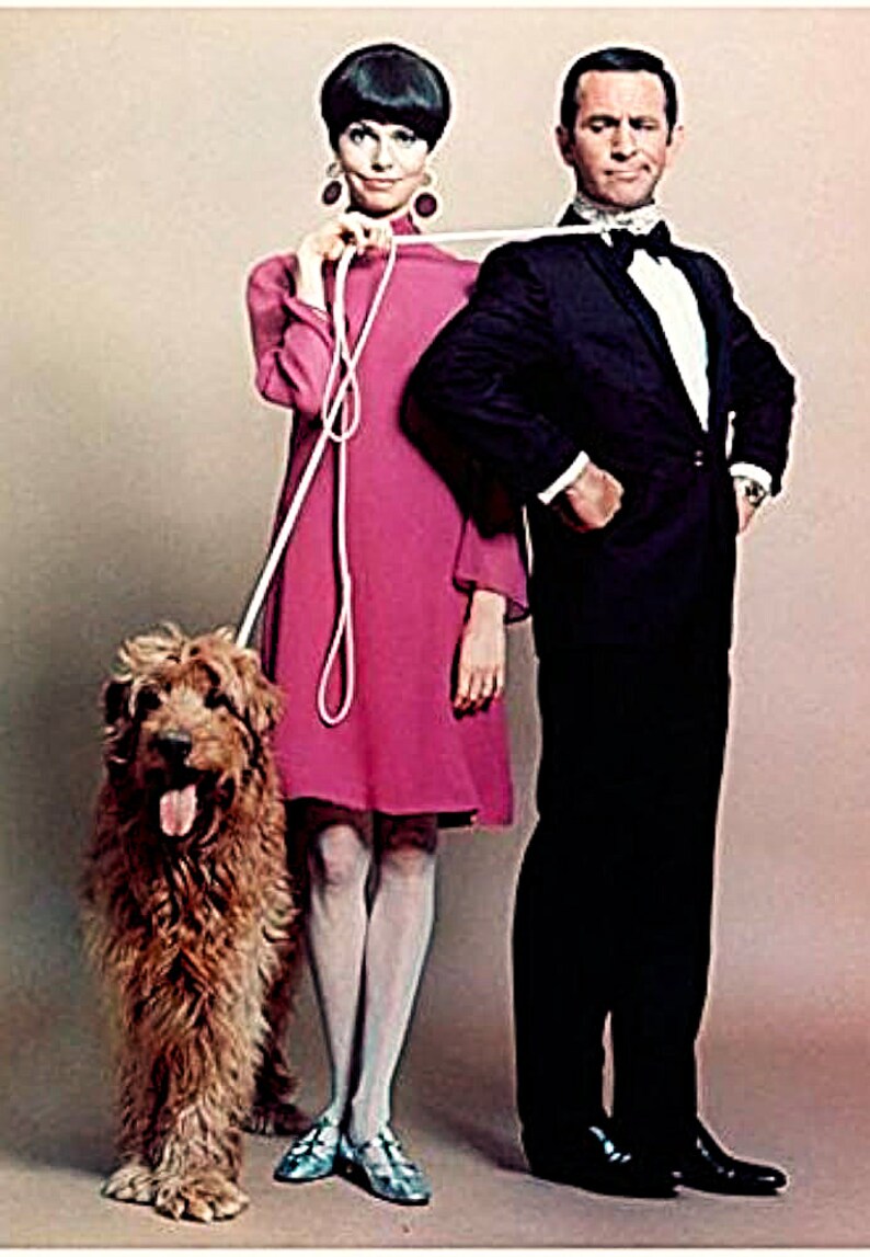 Get Smart DON ADAMS BARBARA Feldon and Fang the D0G Photo Magnet 3"x5 ...