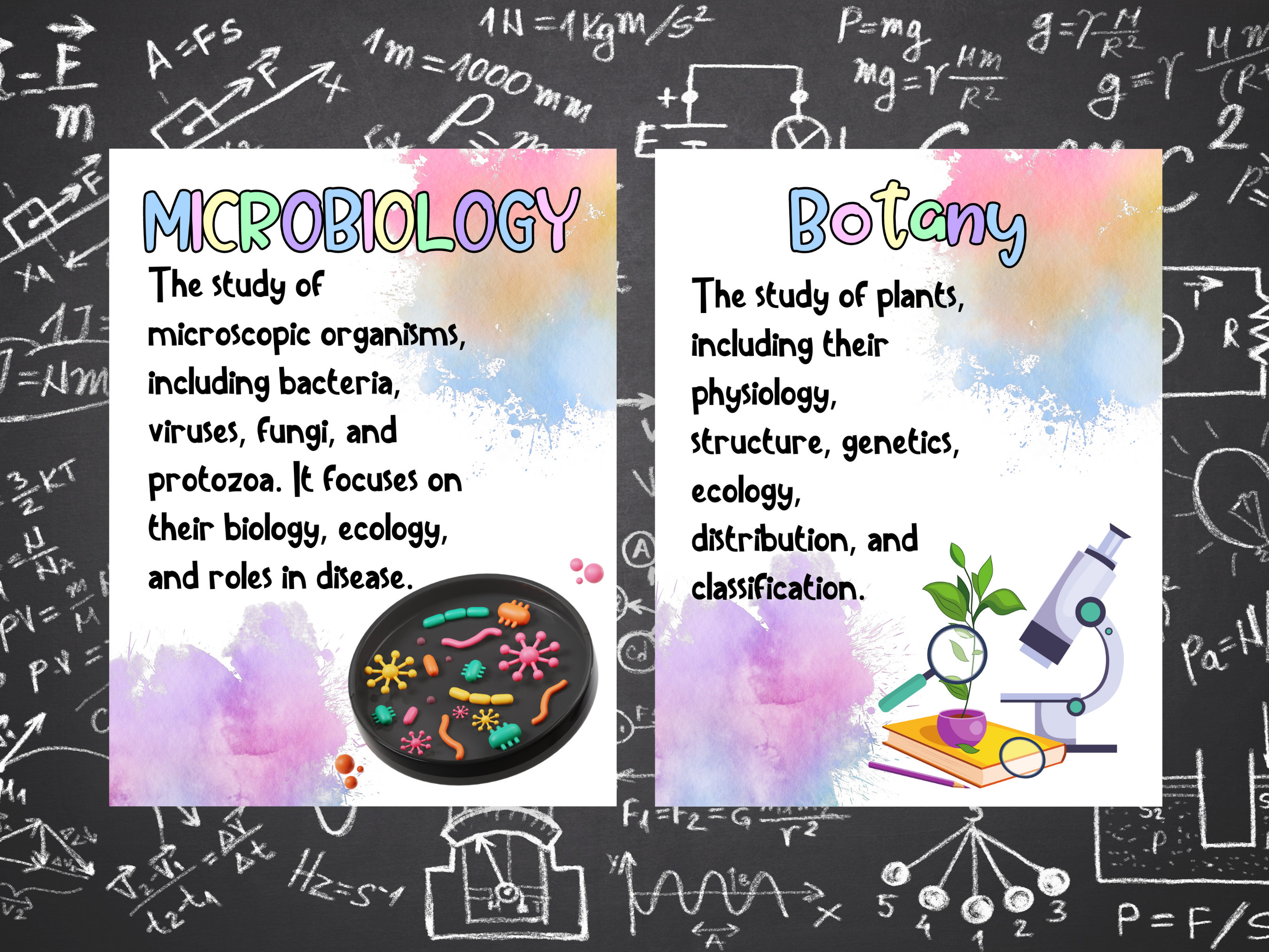 Science Classroom Poster Set, Science Classroom Décor, Science Fields ...