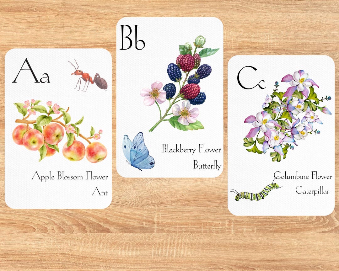 Large A-Z Alphabet Printable Flashcards | Letter Recognition| Phonics ...