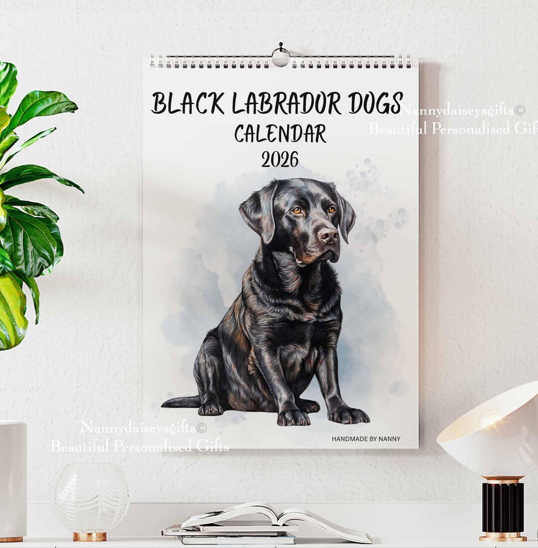Labrador ~ Black Lab ~dog Lover 2026 Calendar ~ 12 Months A4 ...