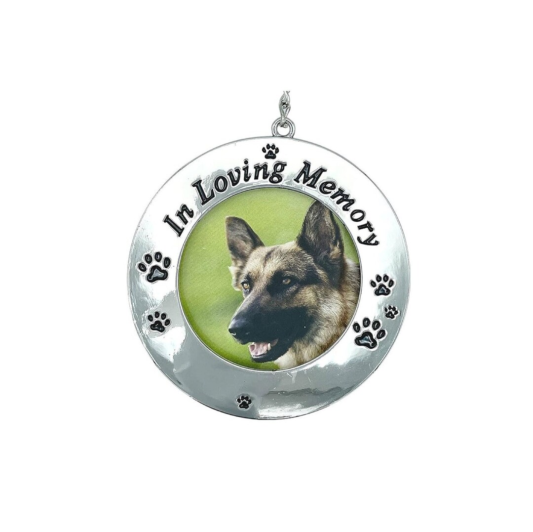 Pet Memorial Photo Frame Ornament in Loving Memory Pets Remembrance - Etsy