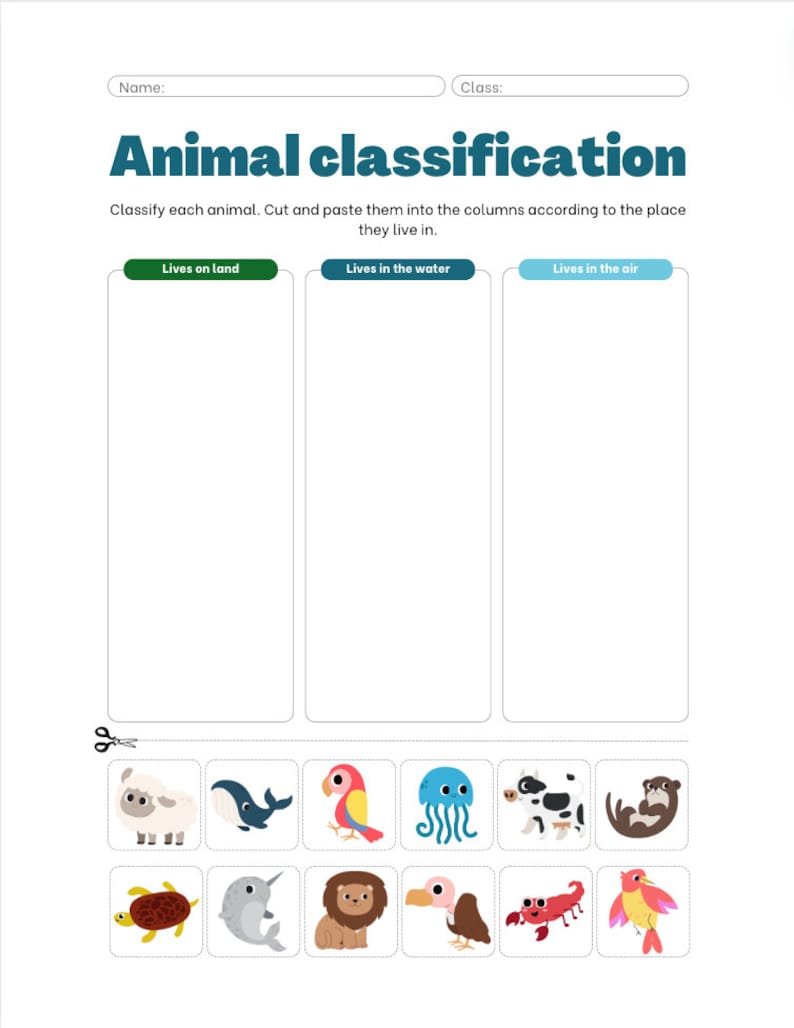 Animal Classification Worksheets - Etsy