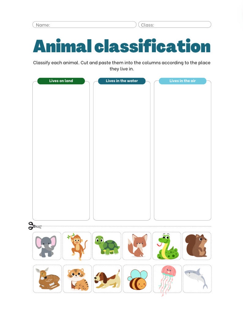 Animal Classification Worksheets - Etsy