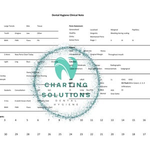 Template for Dental Hygiene Clinical Notes - Etsy