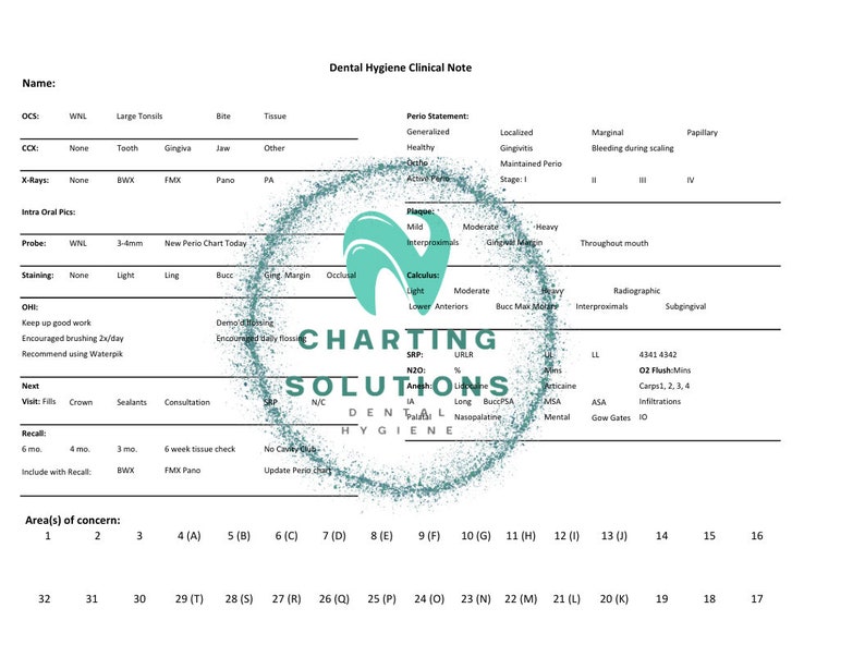 Template for Dental Hygiene Clinical Notes - Etsy