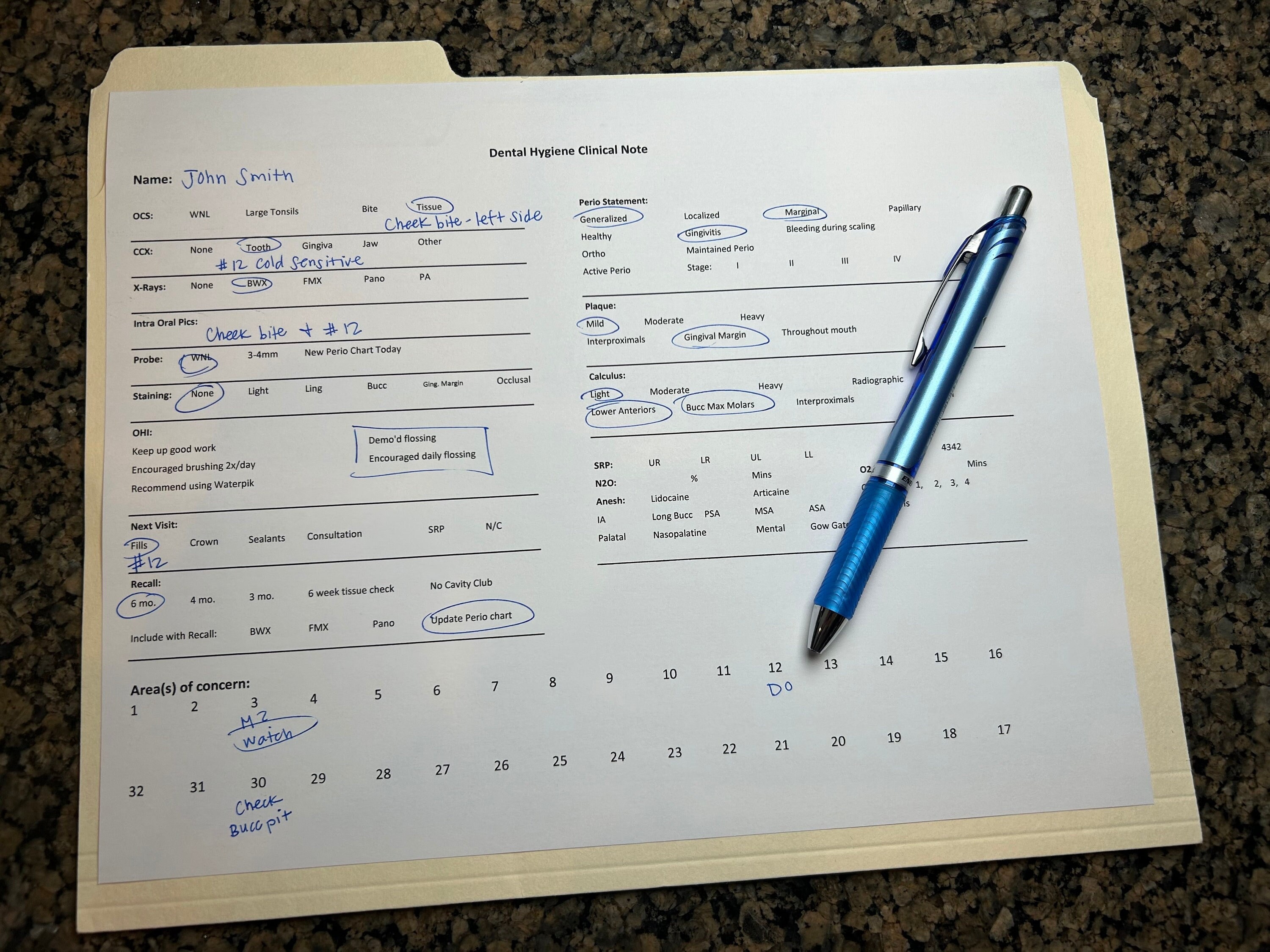 Template for Dental Hygiene Clinical Notes - Etsy