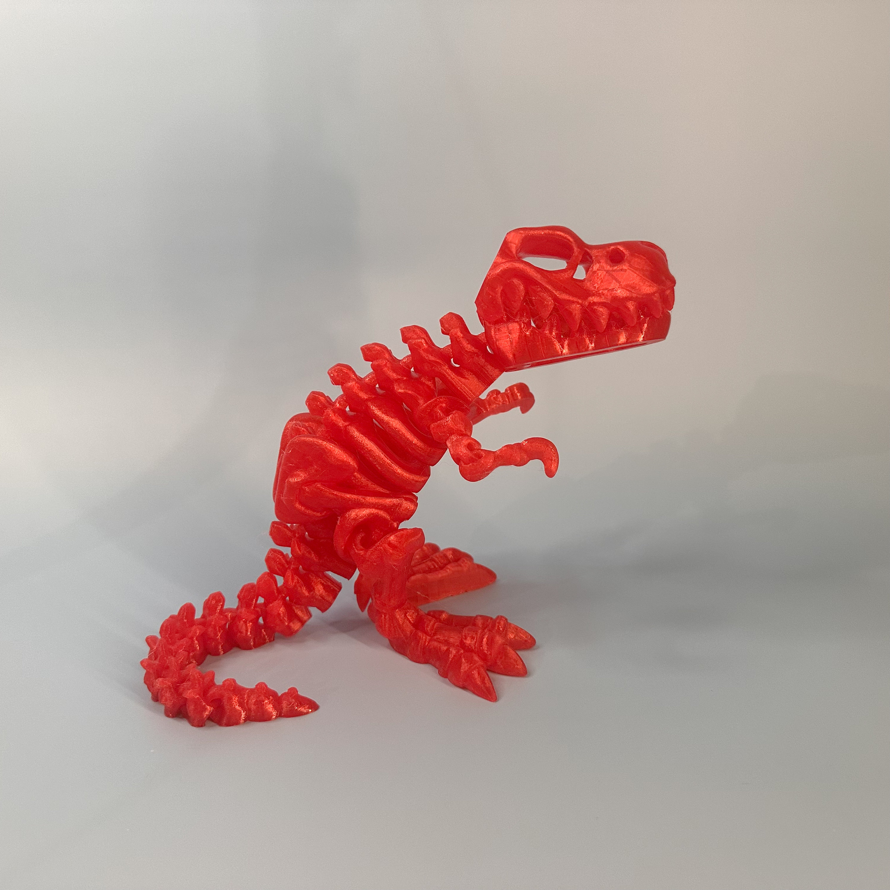 Skeleton T-rex Dinosaur With Bone! Sensory-flexi Toy-articulating - Etsy