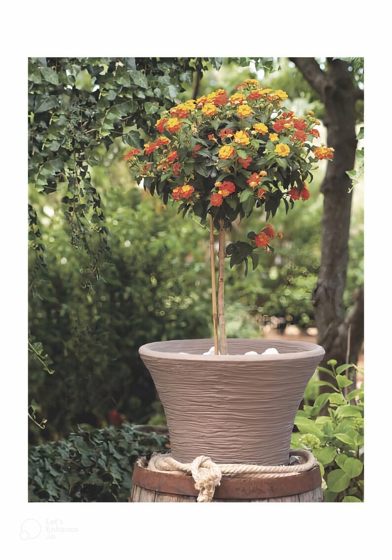 Italian Planter, Indoor Planter, Outdoor Planter, 15-inch Planter ...