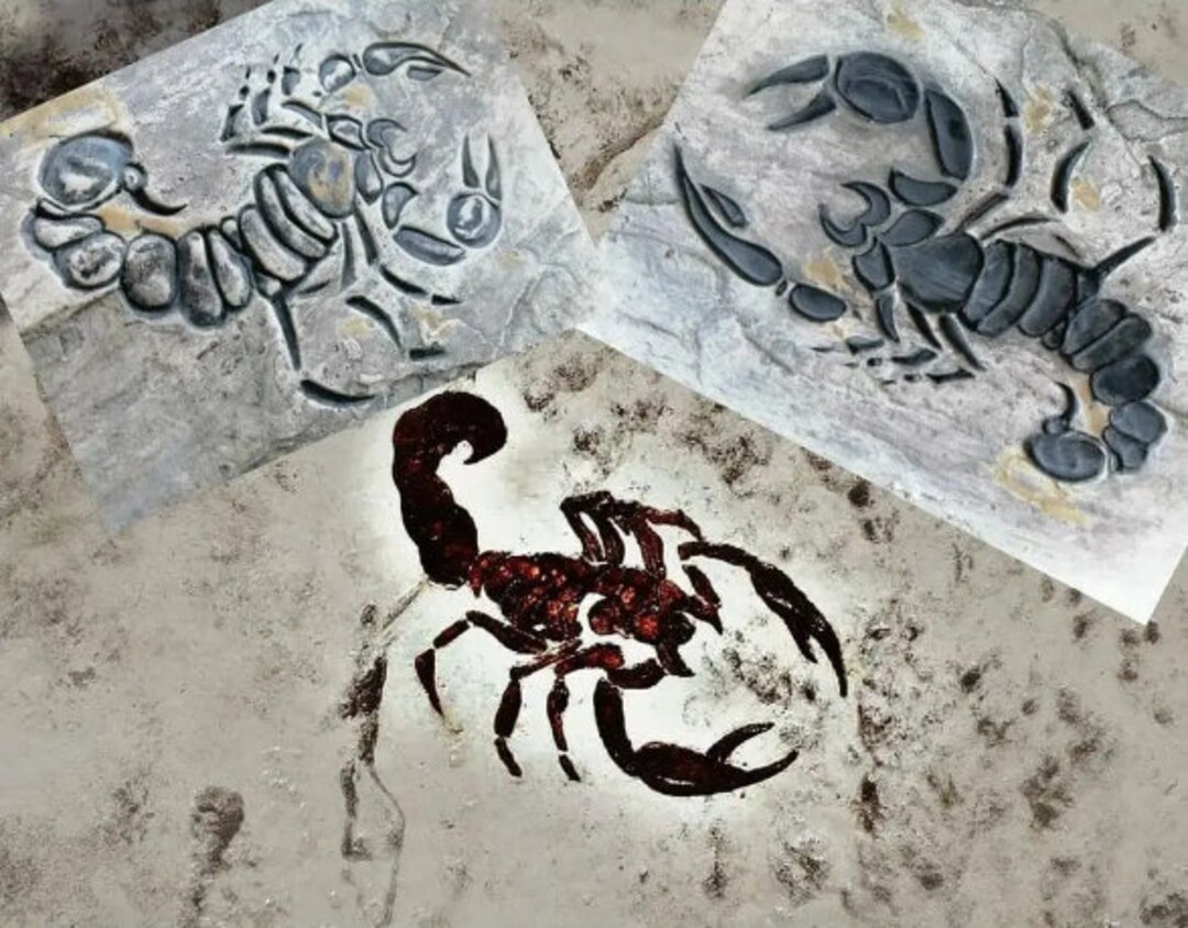 Polyurethane Stamps "scorpion and Lizard" 3D for Plaster or Concrete ...