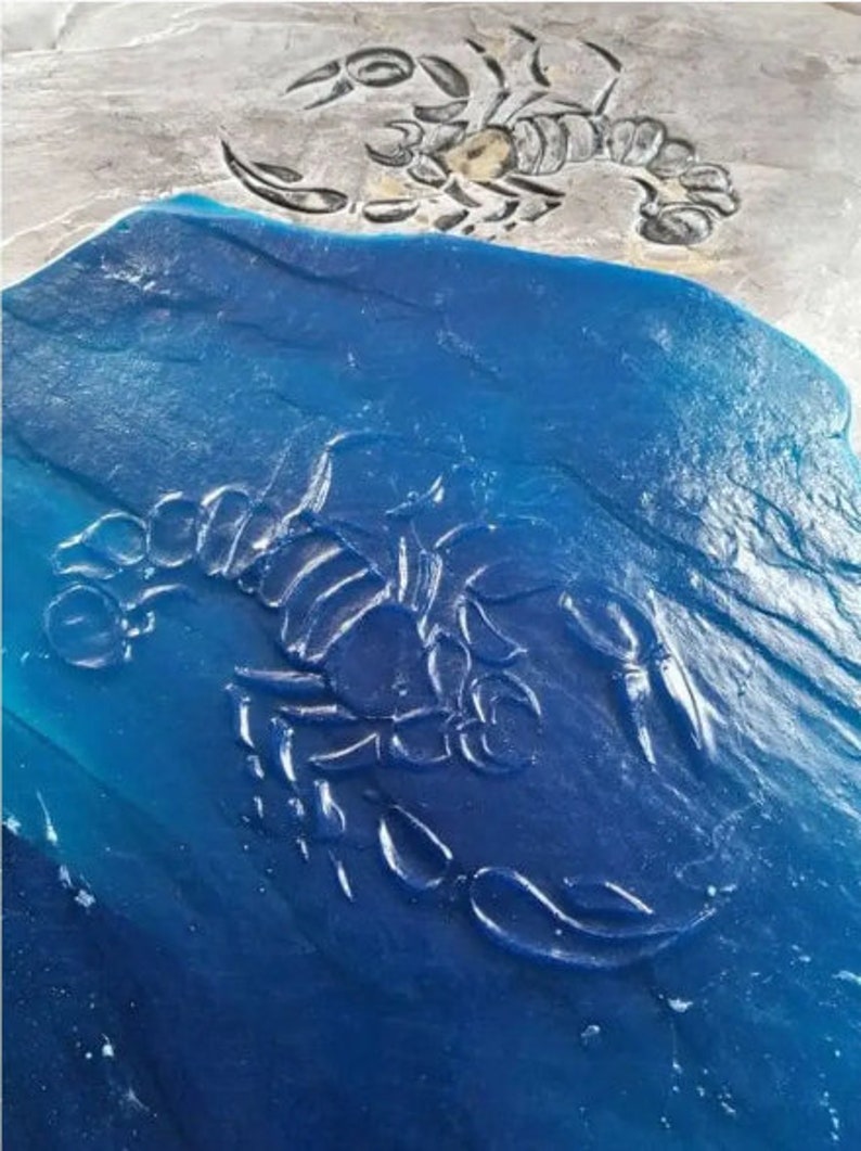 Polyurethane Stamps "scorpion and Lizard" 3D for Plaster or Concrete ...