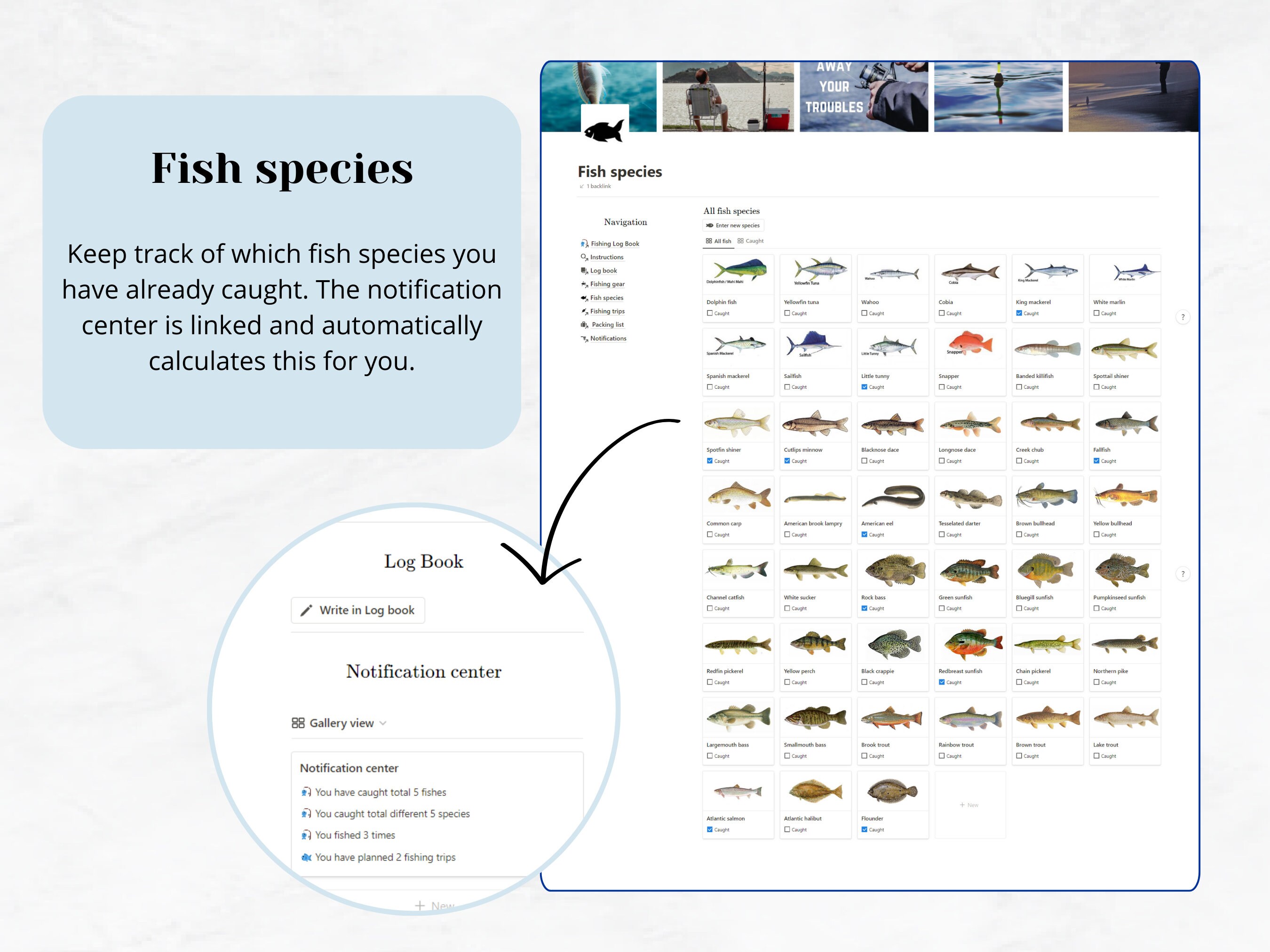 Fishing Logbook Notion Template, Digital Catch Log & Journal, Fishing ...