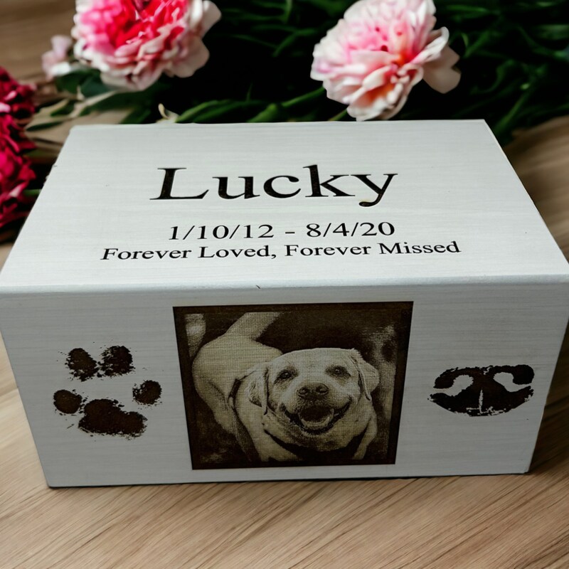 Pet Urns - Etsy