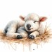 10 Adorable Baby Lamb Clipart Images -jpgs - Baby Lamb Digital Download ...