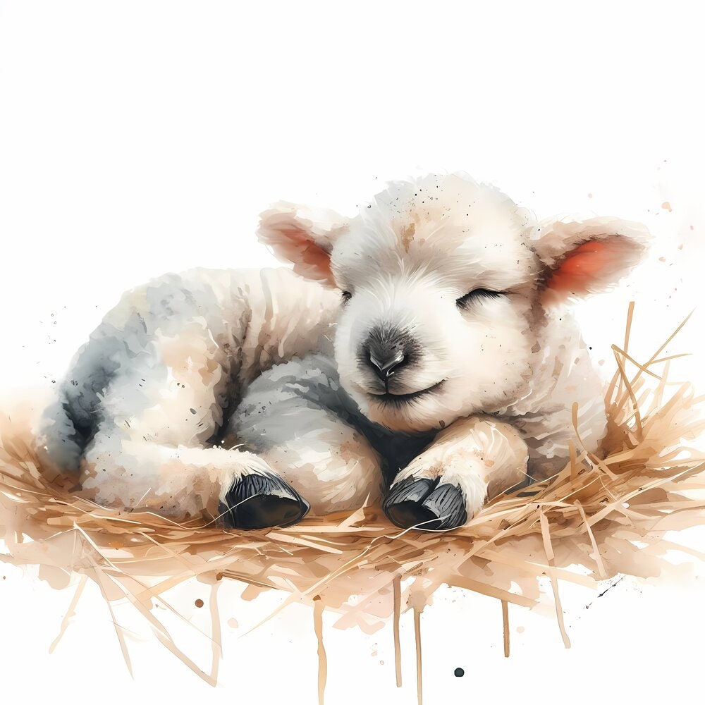 10 Adorable Baby Lamb Clipart Images -jpgs - Baby Lamb Digital Download ...