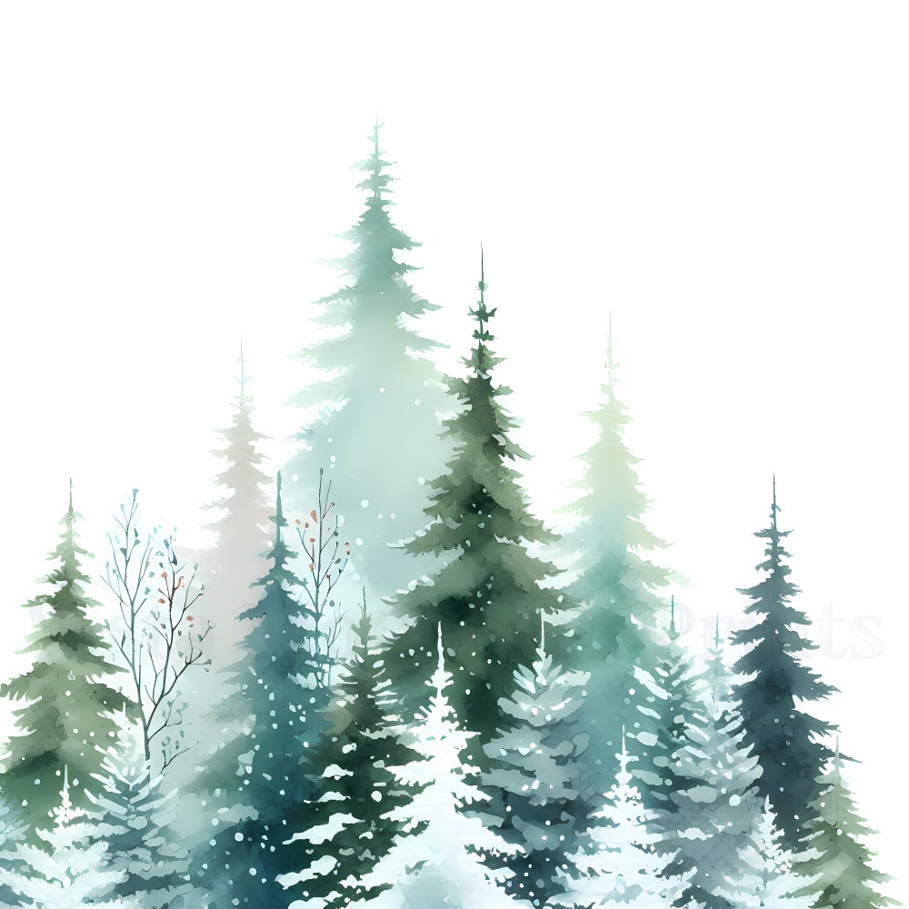 10 Pine Tree Forest Watercolor Clip Art Images- Jpgs - Forest Digital ...