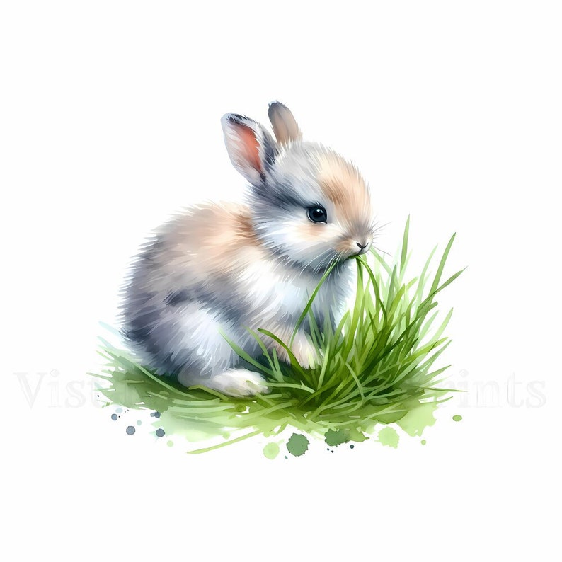 10 Cute Baby Bunny Clipart Images - Bunny Jpgs - PNG - Bunny Digital ...