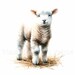 10 Adorable Baby Lamb Clipart Images -jpgs - Baby Lamb Digital Download ...