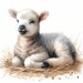 10 Adorable Baby Lamb Clipart Images -jpgs - Baby Lamb Digital Download ...