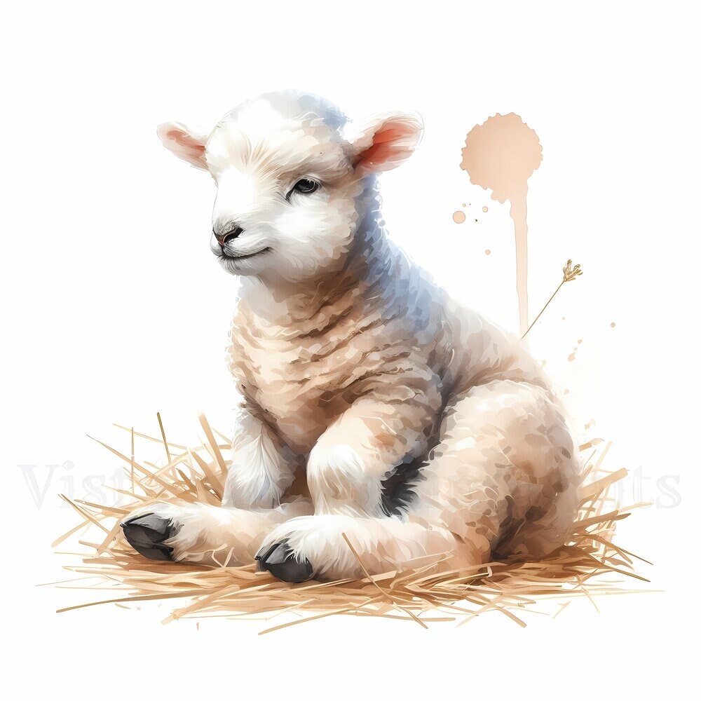 10 Adorable Baby Lamb Clipart Images -jpgs - Baby Lamb Digital Download ...