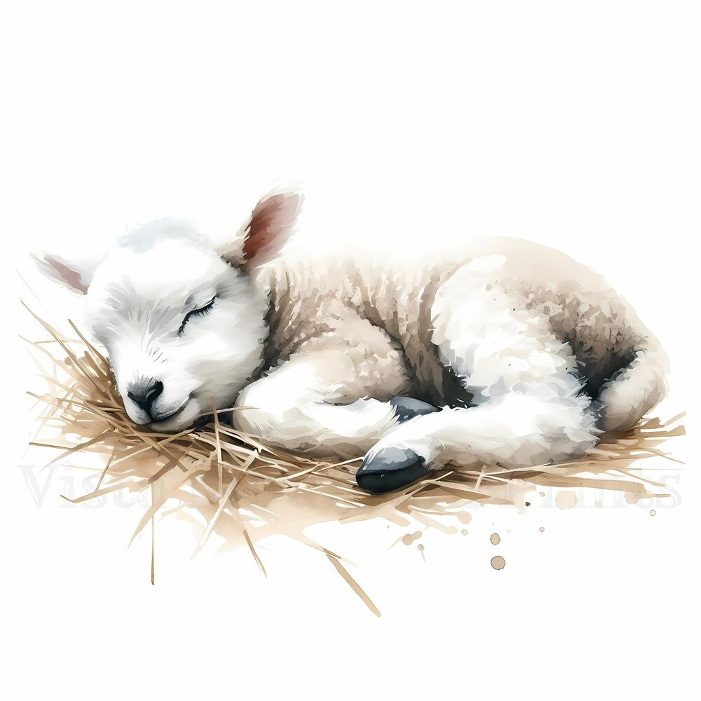 10 Adorable Baby Lamb Clipart Images -jpgs - Baby Lamb Digital Download ...