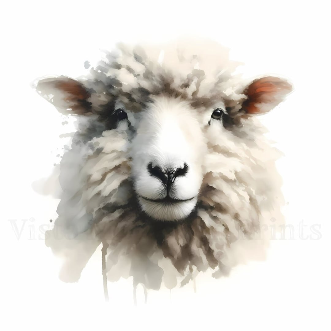 10 Adorable Sheep Clipart Images- Jpgs - PNG - Easter Digital Download ...