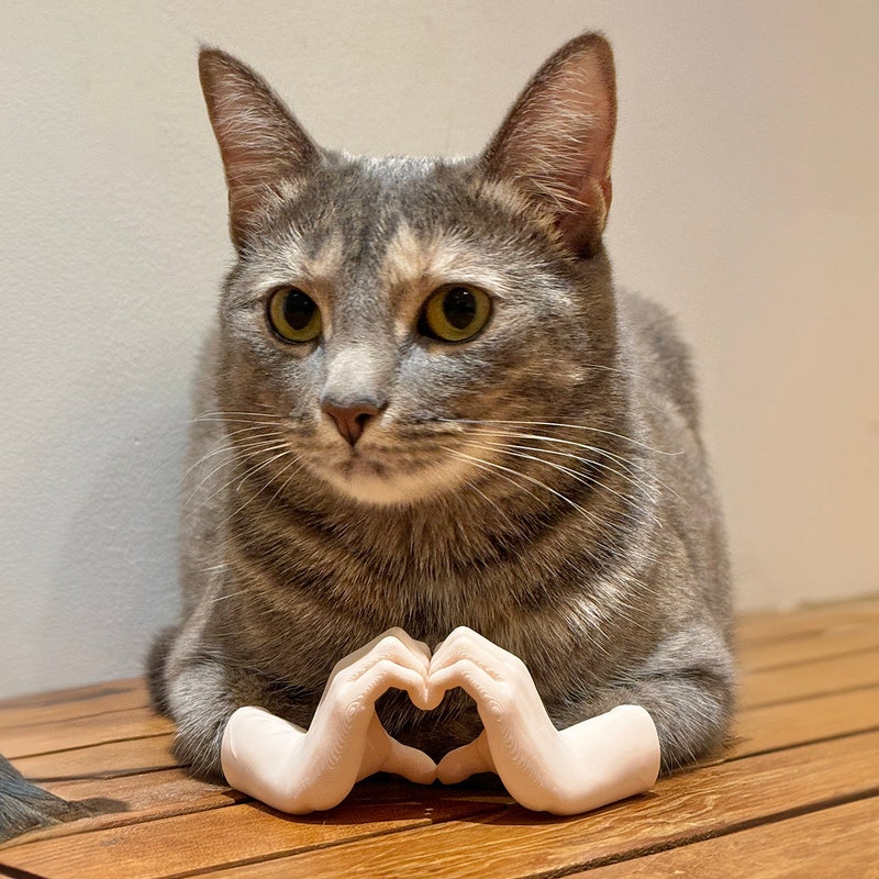 Vampire Costume Hands - Etsy