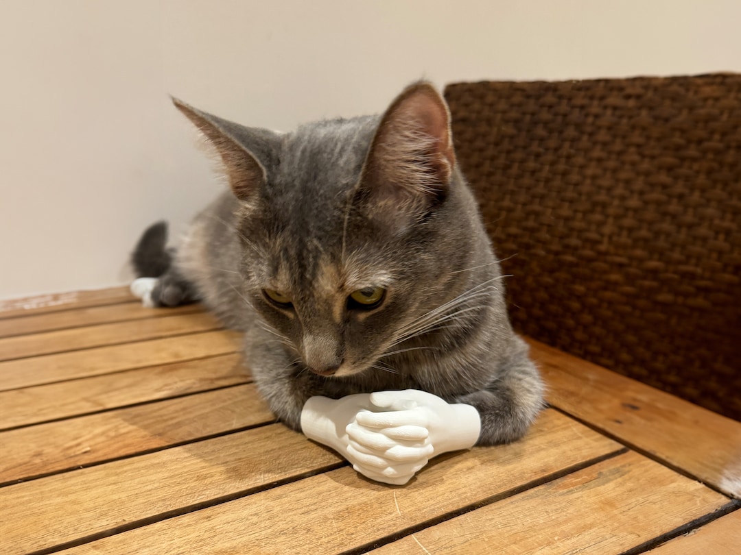 Cat Hands Cat Costume Hands, Fake Cat Paw Gloves, Pet Cosplay ...